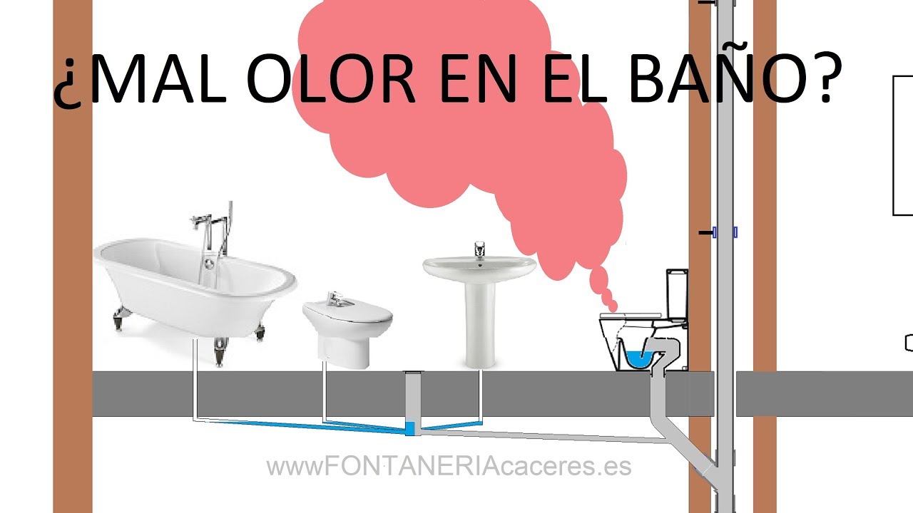 Guía para Entender el Sifón Seco y Prevenir Malos Olores - AguaPro